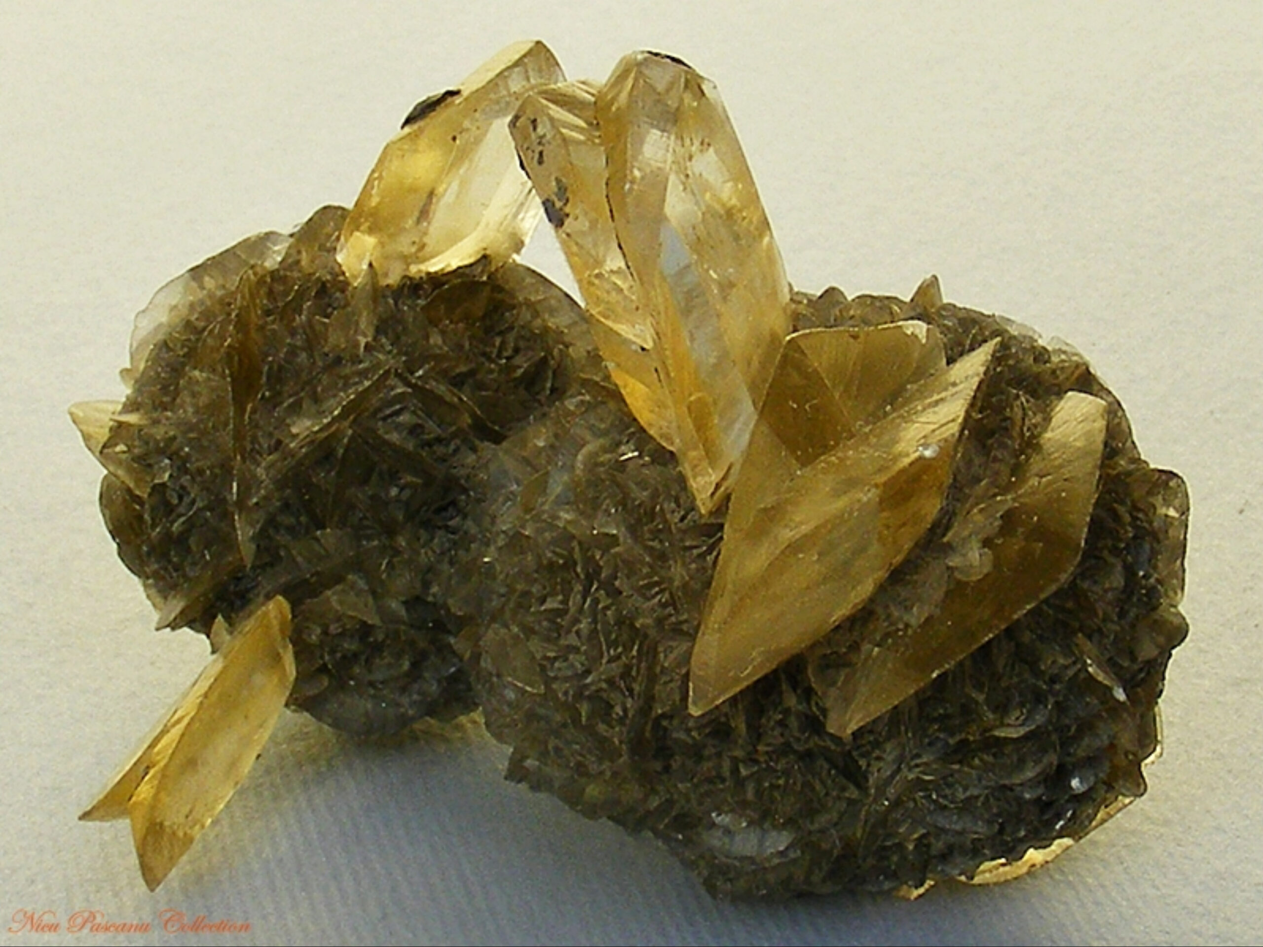 300. Selenit - Amadocja