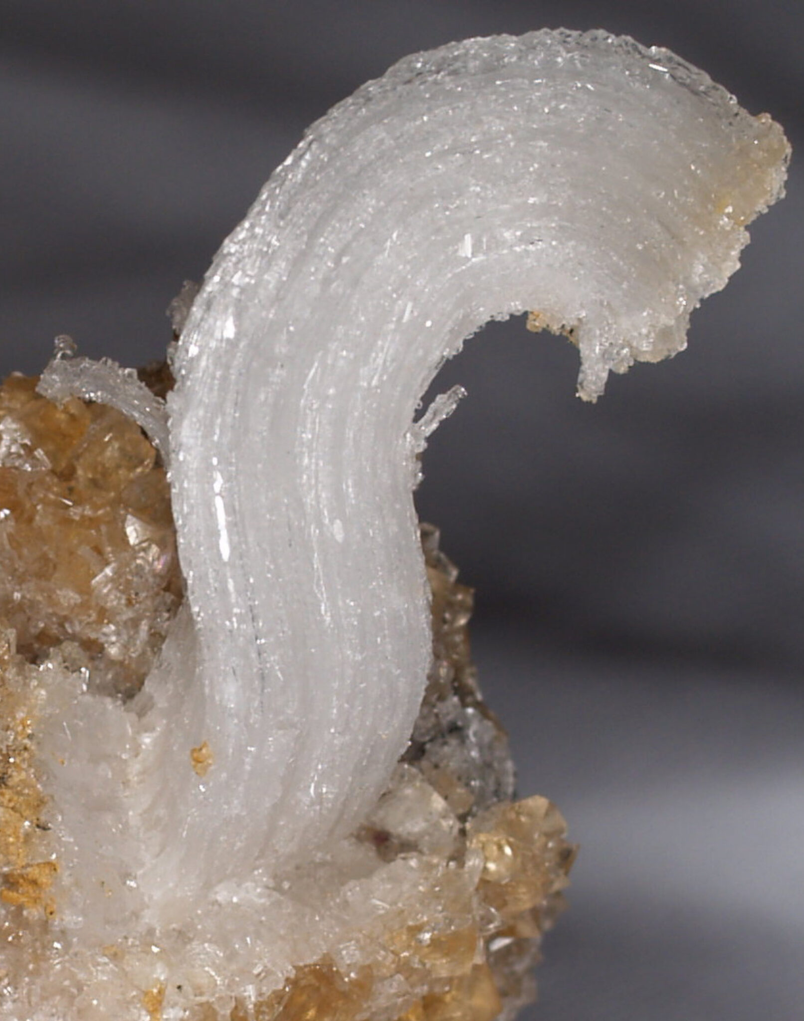 300. Selenit - Amadocja