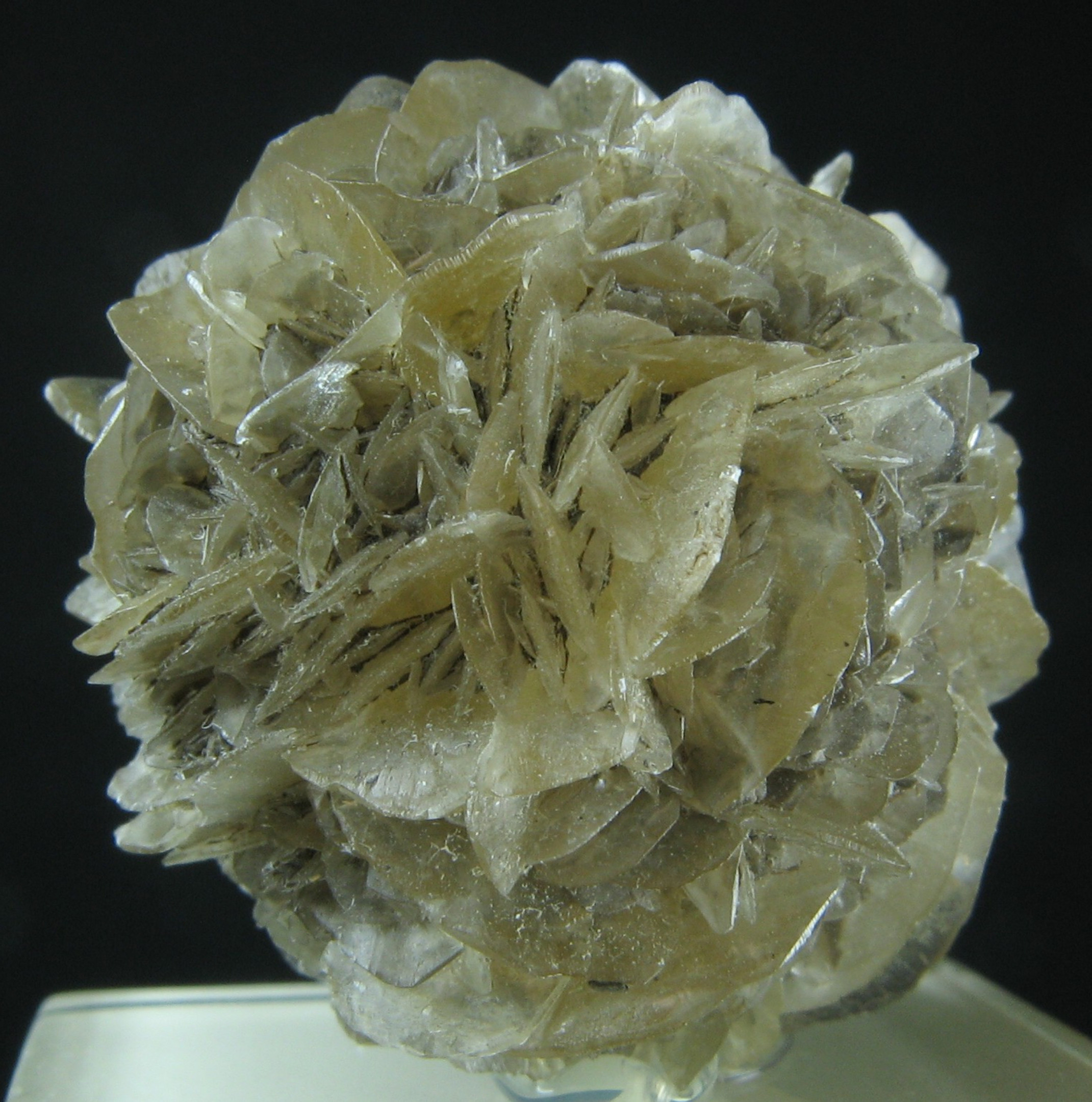 300. Selenit - Amadocja