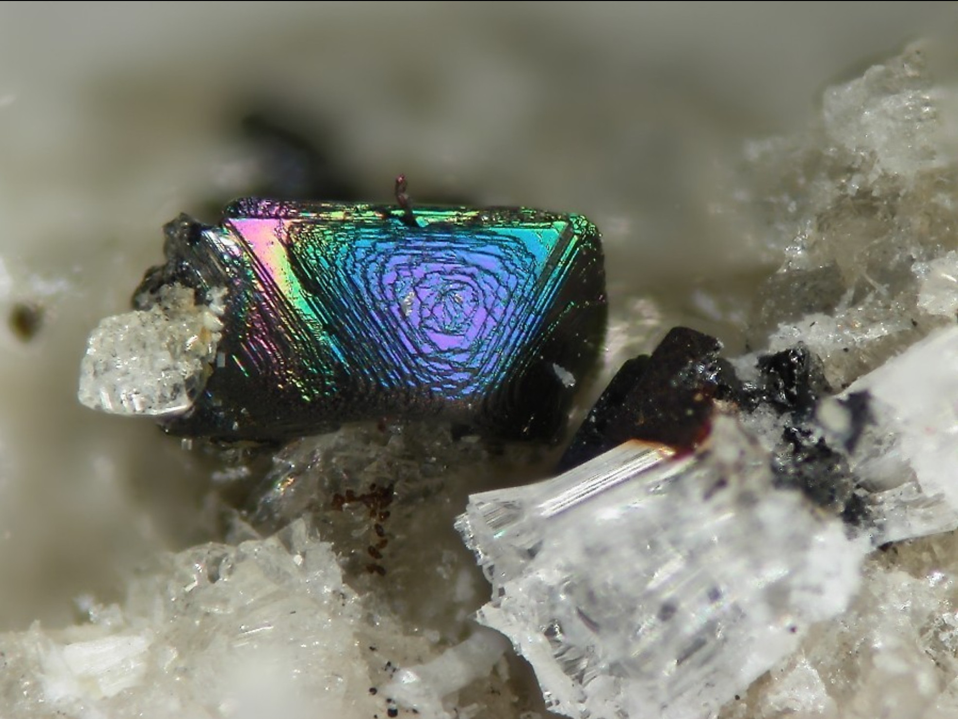 65. Magnetyt - Amadocja