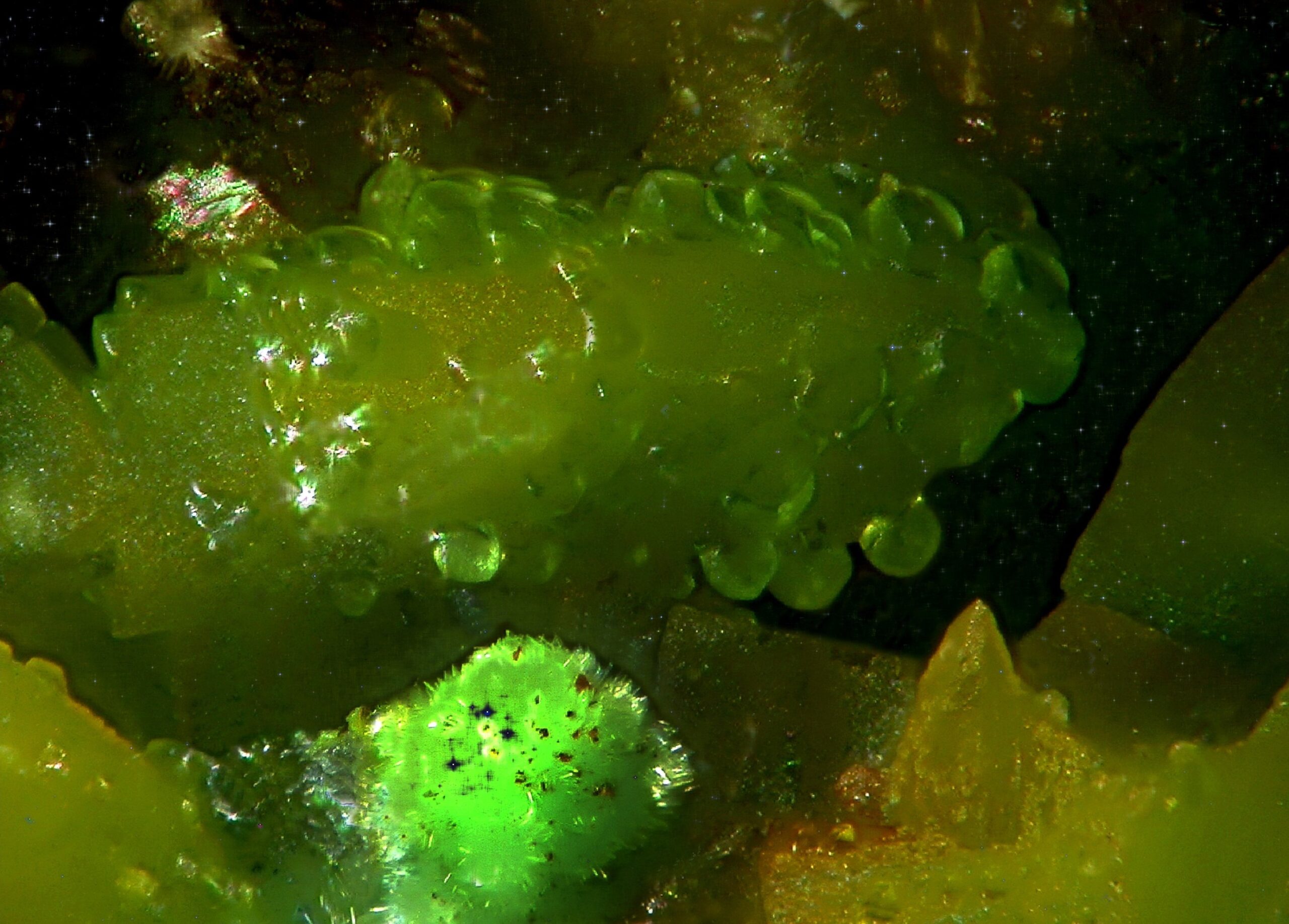 368. Gaspeit - Amadocja